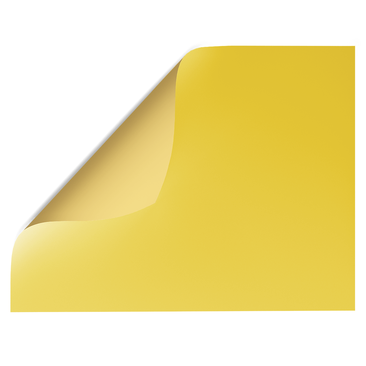 sunshine-yellow-double-sided-backdrop-backdrop-collective