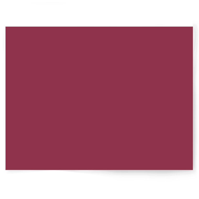 Pink Vinyl Photography Double-sided Backdrops – Backdrop Collective