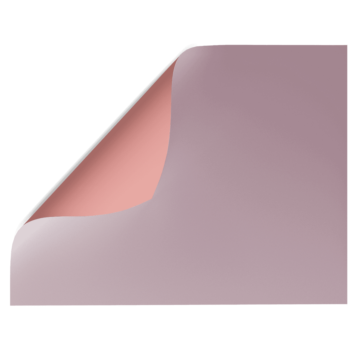 Solid Colour Backdrops | Backdrop Collective