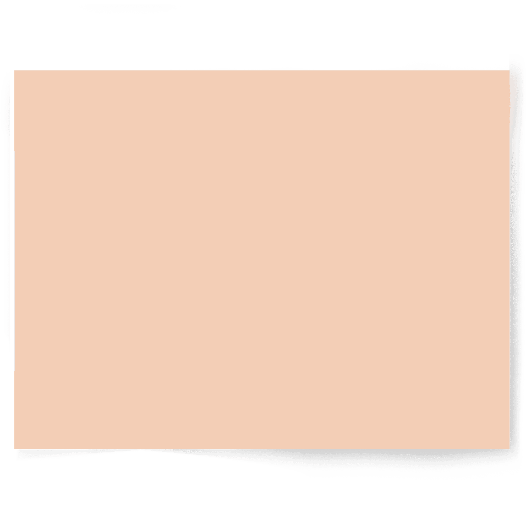 Beige + Brown Solid Colour | Premium Vinyl Backdrops