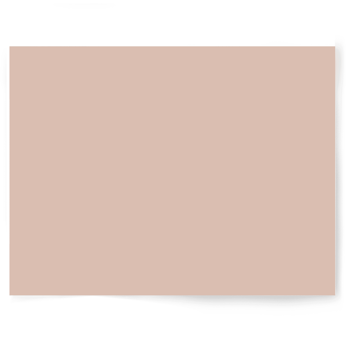 All Single-sided Backdrops – Backdrop Collective