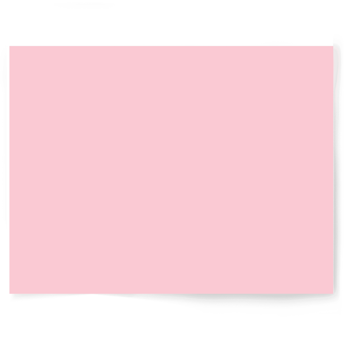 All Single-sided Backdrops – Backdrop Collective