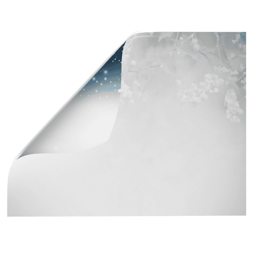 Photography Backdrops | Double Sided Backdrops | Backdrop Collective