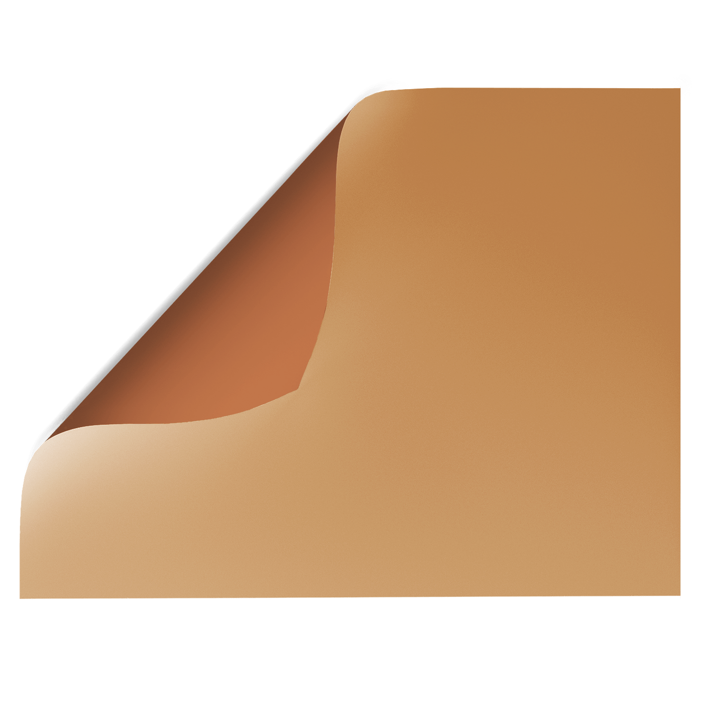 Solid Colour Backdrops | Backdrop Collective